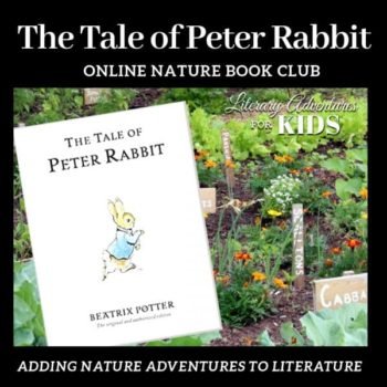 The Tale of Peter Rabbit Online Book Club ~ A Nature Adventure