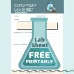 Did You Know Science Lab Sheets Can Teach Life Skills?