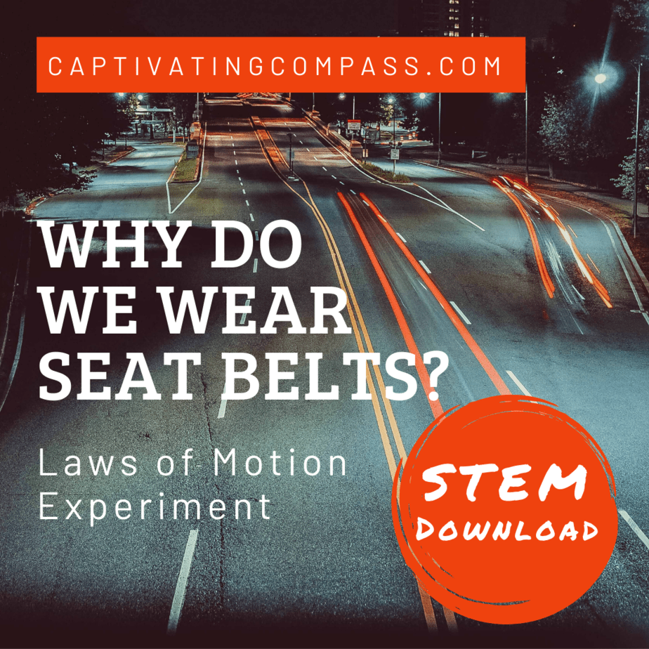 Why You Should Wear A Seat Belt: FREE Homeschool Science Download
