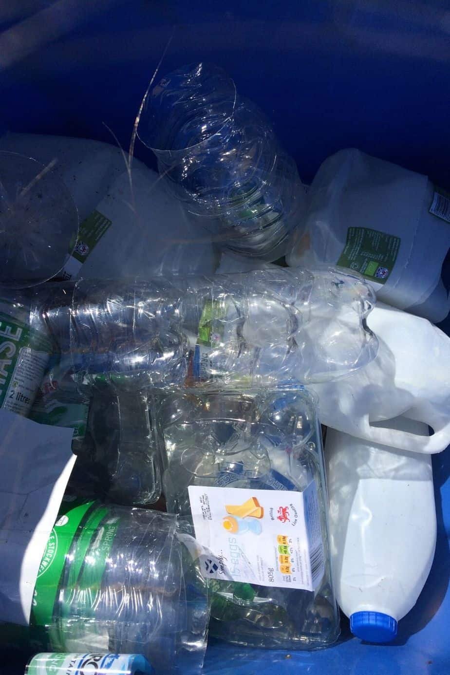 How To Plant An Awesome Earth Day Garden | Captivating Compass