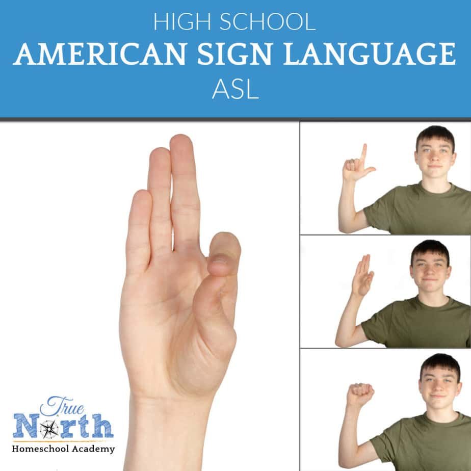 Top High School Electives for College & Career Minded Homeschoolers